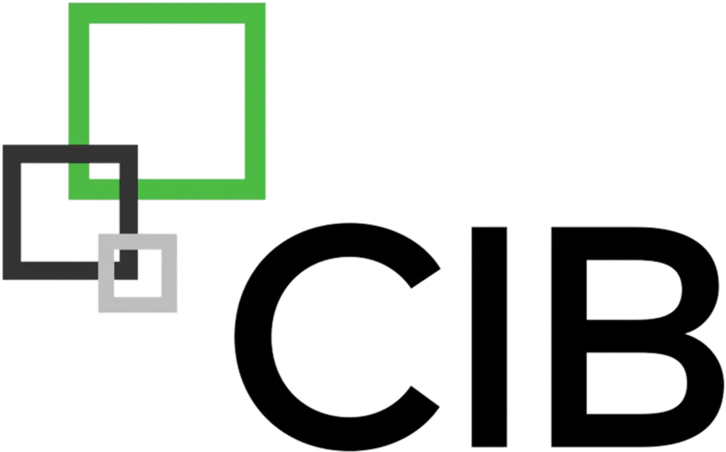 Introducing The Business Model Canvas | CIB Accountants & Advisers